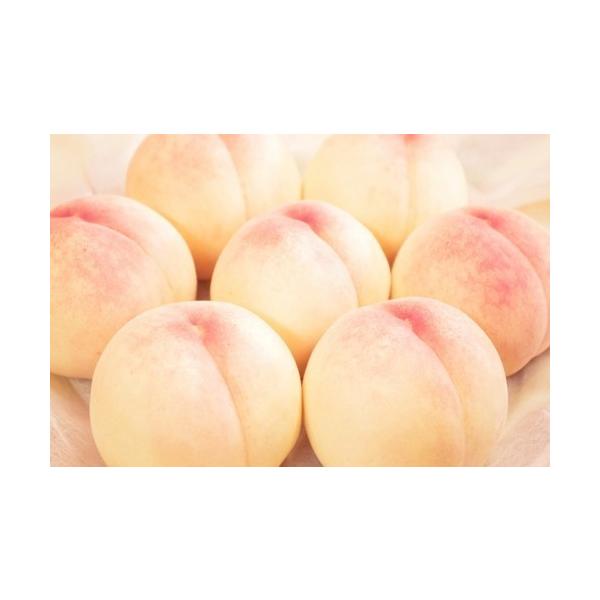 【発売日：2026年07月25日】★完全に樹で熟させる「樹熟し白桃」から、特別に甘い桃をご希望の方に、糖度15度以上の桃だけを厳選。箱には糖度表示有り。　まみむめ桃は、外見に少しの傷や当たりがありますが、皮を剥いてお召し上がりいただく分には...