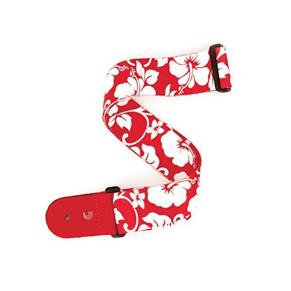 検索キーワード:Planet Waves 楽器|楽器 メーカー型番:5343217252