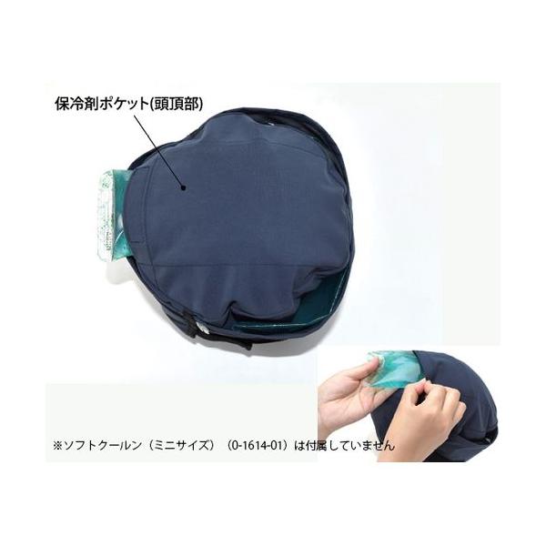 【フローズンカバー 頭用 (1個)】 検索キーワード:アズワン 介護・リハビリ|介護 メーカー型番:8-3960-03 8396003