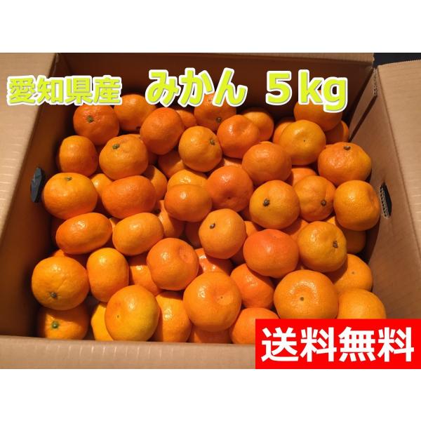 ◆内容入数は、40個前後です。◆産地愛知◆ご利用シーンお中元、お歳暮、賞品、冠婚葬祭進物品、出産、結婚、記念品、引出物、快気祝い、法要・法事 など◆送料こちらは送料無料の商品ですが、以下への発送は別途料金を頂いております。ご了承ください。北...