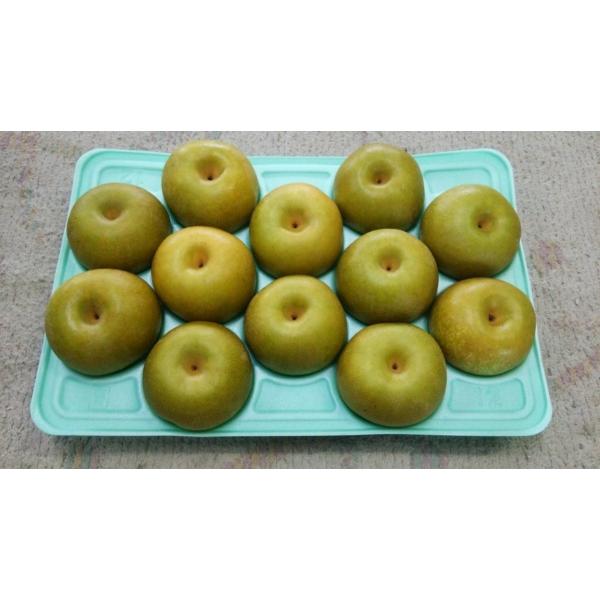 【発売日：2026年07月31日】上品な甘さとシャキッとした食感が特徴で夏の季節にあった梨です。箱内個数は選べません。