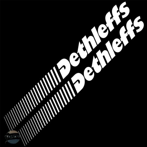 DETHLEFFS 97.2X9CM デカールステッカー モーターホーム キャンピングカー キャンピングカーバン キャラバン