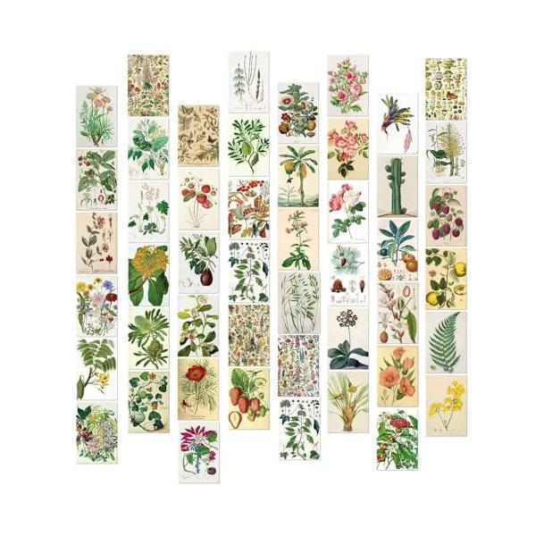 草花ミックス草花ミックス/草花ミックス/-・Style:草花ミックス・??商品サイズ：15 cm×10 cm、包装内容：1セット50枚。画像の詳細は1枚目の画像を参照してください（異なる絵柄のカード50枚を含む）。ご注意：カードの裏面は完全...