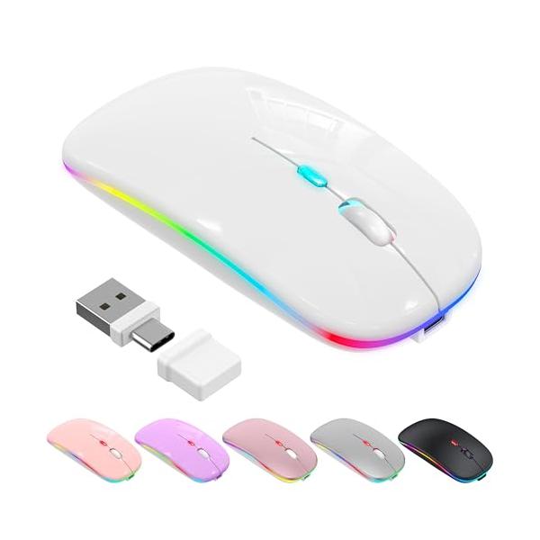 RGB ワイヤレス Bluetooth マウス｜Apple Magic Mouse 対応｜ランダムな動きを検出されずに実行｜2.4GHz USB-A &amp; USB-C（Type-C）レシーバー付き｜プラグアンドプレイ｜高精度光学トラッ...