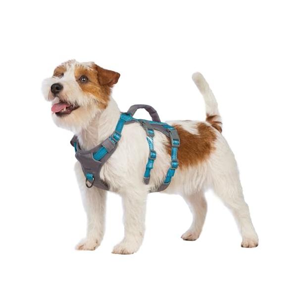 歩行補助ハーネステールブルー/XS/HD09-Teal Blue-XS・Size:XSColor:テールブルー・持続的な革新：パッド付きハンドルと荷重分散型の胸部および腹部パネルを備えたこの犬用ハーネスは、犬の支援においてバランスの取れた快...
