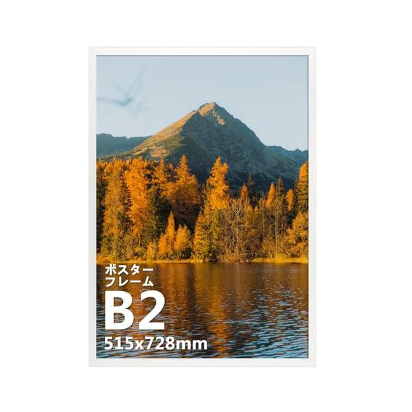 ホワイト/B2（515x728mm）/-・Size:B2（515x728mm）Color:ホワイト・大判サイズで空間を彩る：外寸53.9x75.2cm／収納用紙サイズ51.5x72.8cm、家族写真やアートプリントを大胆にディスプレイ！リビ...