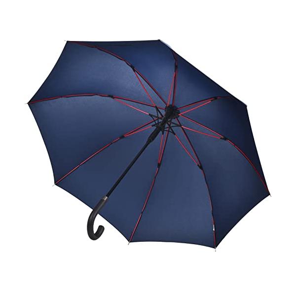 ?典的赤骨ブルー/65 centimeters/-・Color:赤骨ブルー・デザイン性と機能性を追求した高強度骨構造：通常より太い軽さと丈夫さに優れたグラスファイバー骨と高耐久性樹脂パーツを構造に採用、風を受けても裏がえらない構造になってい...