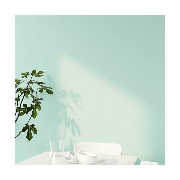 純色ライトグリーン/幅40 cm x 長さ5 m/WP-WPZ012E・Size:幅40 cm x 長さ5 mColor:ライトグリーン・高品質リメイクシート迷ったらこれ！初心者＆機能性重視の方におすすめです。本製品をする理由：(1)光沢を...