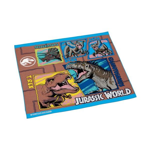 クロス/縦43×横43cm/KB4-A・Color:クロス・パッケージ個数:1・サイズ:縦43×横43cm・素材・材質:綿100%・生産国:日本・クロスを広げてそのままランチョンマットとして使えます