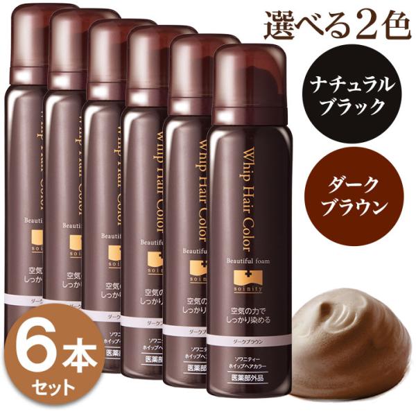 【発売日：2021年04月27日】白髪染め 泡カラー ソワニティー ホイップへアカラー 80g お得な６本セット選べる２カラー[ナチュラルブラック/ダークブラウン]内容量：1本/80g全成分：商品画像内をご確認くださいませご使用上の注意：医...