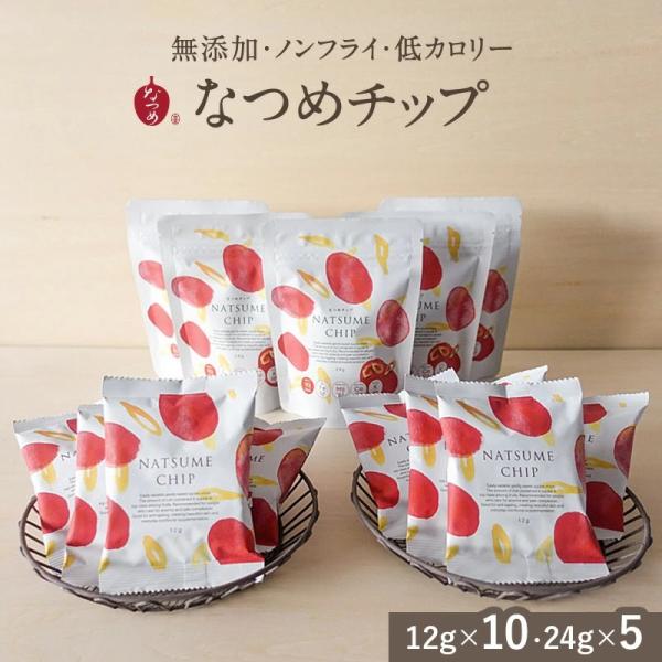 なつめチップ 2サイズセット ノンフライ ドライフルーツ ナツメ 乾燥なつめ 美活  温活 無添加 砂糖不使用 鉄分 美容 ダイエット なつめチップス チップスなつめチップを低温で急速に凍結した「凍結乾燥製法」で、なつめの栄養はそのまま閉じ...
