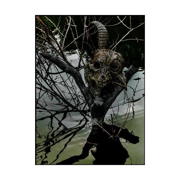 (中古品)the GazettE LIVE TOUR13-14[MAGNIFICENT MALFORMED BOX]FINAL CODA LIVE AT 01.11 YOKOHAMA ARENA(初回生産限定盤 [DVD]【メーカー名】SM...
