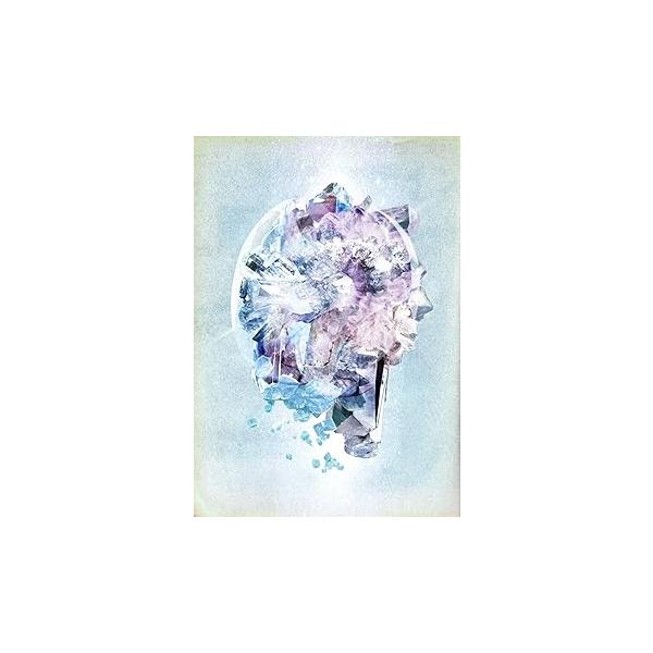 (中古品)RADWIMPS Live &amp; Document 2014「×と○と君と」(LIMITED EDITION) [DVD] RADWIMPS【メーカー名】ユニバーサル ミュージック【メーカー型番】【ブランド名】Univers...