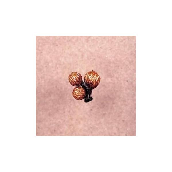 (中古:未使用・未開封)Und Die Scheibe Andert Sichimmer (Dig) [CD] Big Sir【メーカー名】125【メーカー型番】Gold Standard Labs【ブランド名】Gold Standard ...