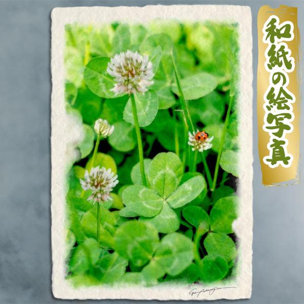 写真のようにリアルではなく、絵画のように抽象的でもない、お部屋にちょうどよいアート「和紙の絵写真」。「和紙の絵写真」とは、作家自身が撮影した風景写真をベースに、作家の思い出の風景をイメージして作成した絵画調のデジタルアートを、職人が一枚一枚...