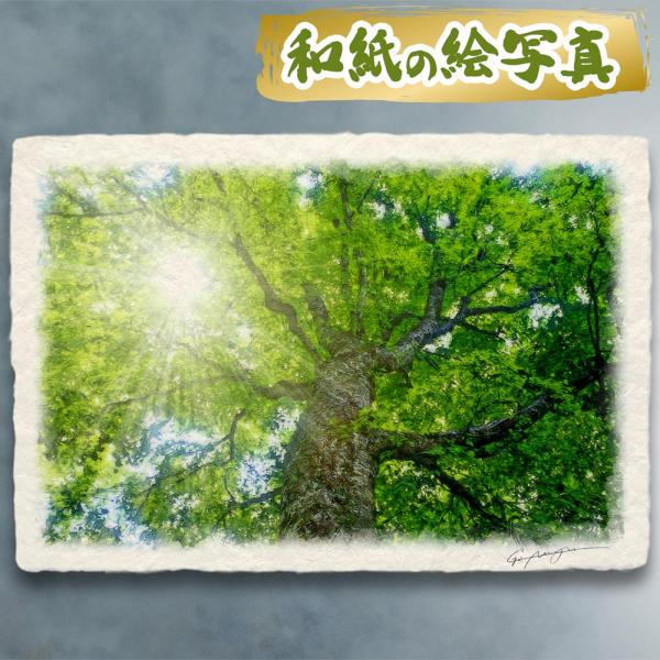手すき和紙のやさしい質感に、新緑と木漏れ日の風水パワーを重ね、健康運と仕事運、家庭運を明るく整えてくれる作品です。「和紙の絵写真」とは、作家自身が撮影した風景写真をベースに、作家の思い出の風景をイメージして作成した絵画調のデジタルアートを、...
