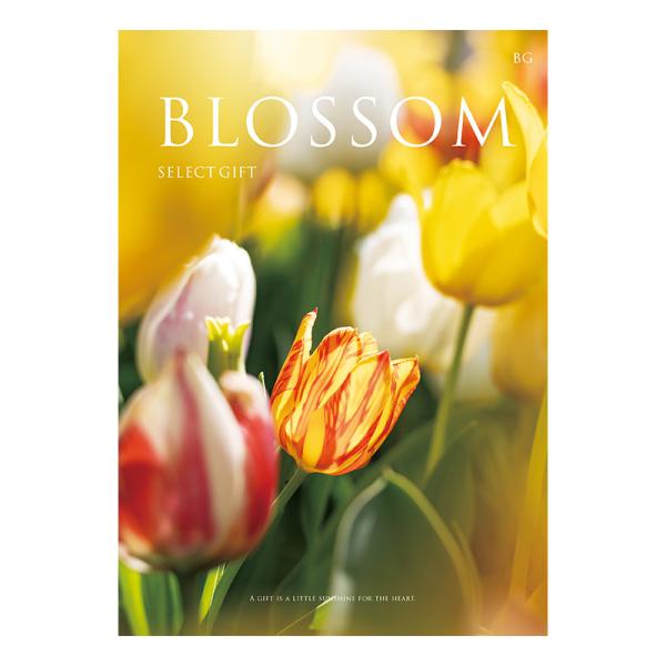 すべての世代に、生活彩るとっておきの華を添える特別な一冊。BLOSSOM（ブロッサム）は日々の暮らしが愛おしくなるような豊富なアイテムをバラエティ豊かに取り揃えたカタログギフト。ブランドやファッション、インテリア、さらに体験型チケットなど、...