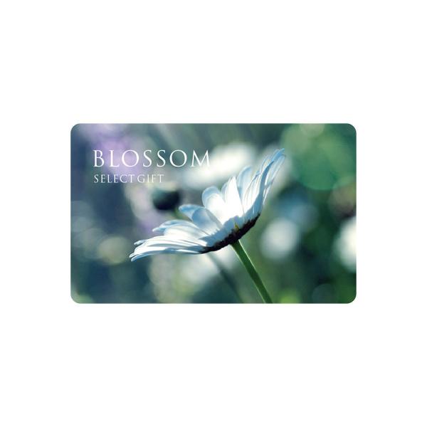 すべての世代に、生活彩るとっておきの華を添える特別な一冊。BLOSSOM（ブロッサム）は日々の暮らしが愛おしくなるような豊富なアイテムをバラエティ豊かに取り揃えたカタログギフト。ブランドやファッション、インテリア、さらに体験型チケットなど、...