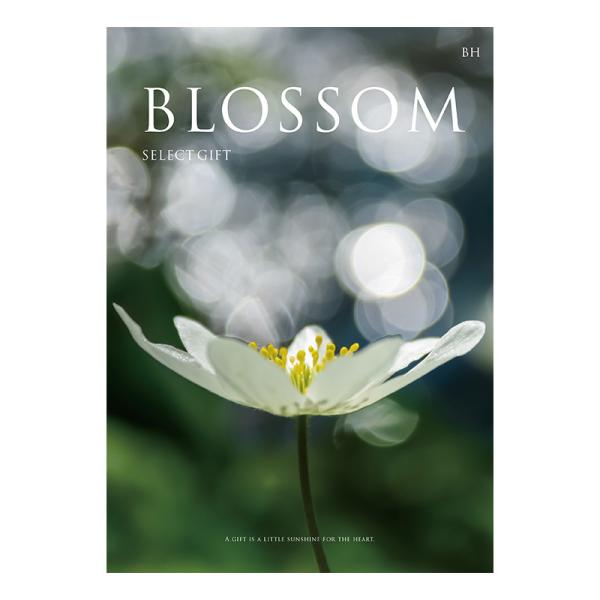すべての世代に、生活彩るとっておきの華を添える特別な一冊。BLOSSOM（ブロッサム）は日々の暮らしが愛おしくなるような豊富なアイテムをバラエティ豊かに取り揃えたカタログギフト。ブランドやファッション、インテリア、さらに体験型チケットなど、...