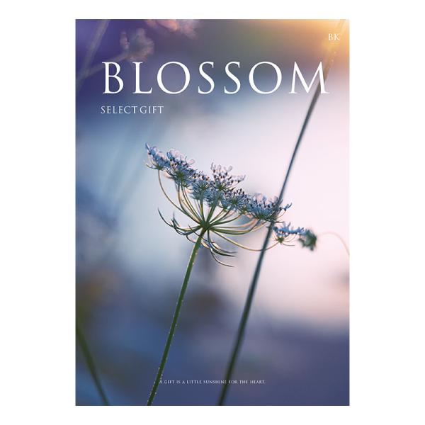 すべての世代に、生活彩るとっておきの華を添える特別な一冊。BLOSSOM（ブロッサム）は日々の暮らしが愛おしくなるような豊富なアイテムをバラエティ豊かに取り揃えたカタログギフト。ブランドやファッション、インテリア、さらに体験型チケットなど、...