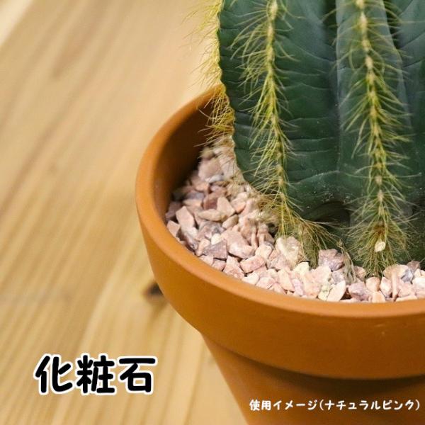 観葉植物、ガーデニング用の化粧石です。鉢やポットの表面に敷くための飾り石としてご使用いただけます。ナチュラルカラーが植物との色合いとマッチして、見栄えが良くなります。【内容量】・500g3〜4号鉢だとおおよそ5鉢分です。敷く厚みによって必要...