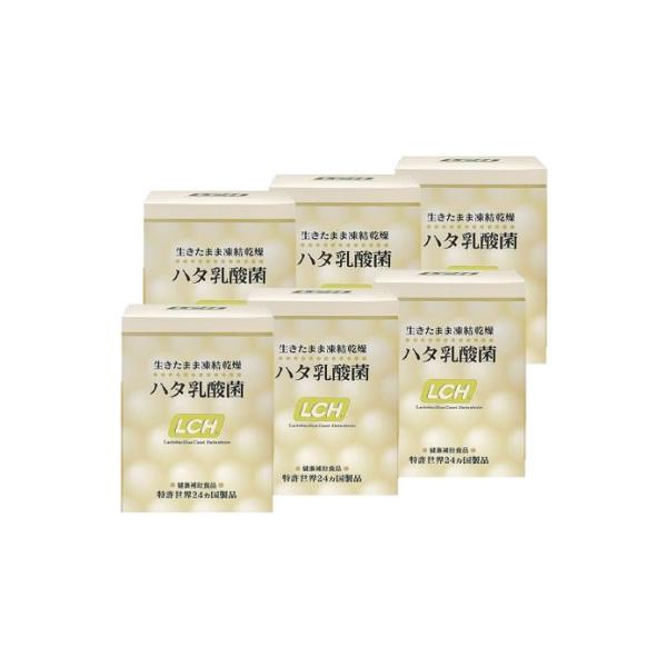 LCH ハタ乳酸菌 30包 6個セット