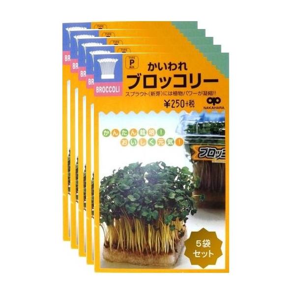 【商品名】スプラウト かいわれブロッコリー 種 5袋セット【容量】２５ml【商品説明】発芽後3日目が効果抜群！スルフォラファンを効率よく摂取するならこの商品！3日目をジュースやスムージーで摂取しよう！【栽培方法】栽培方法は写真をご参照くださ...