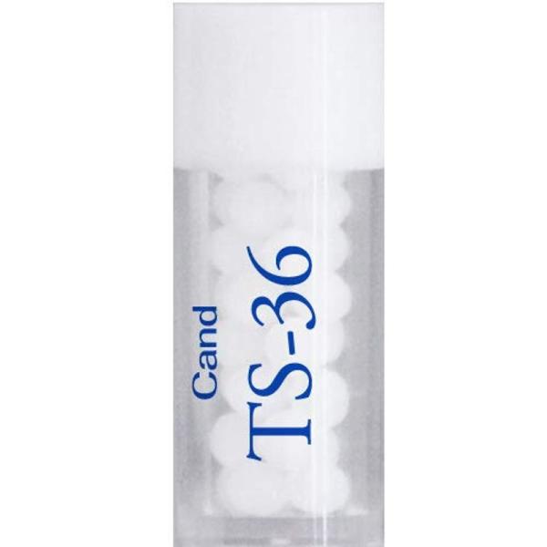 【商品名】　ホメオパシージャパンレメディー TS-36(Cand)(小ビン) 【商品説明】　・???e??:1.5g・???i?T?C?Y (???~???s?~????) :(14?~14?~31)mm 【サイズ】　高さ : 1.20 c...