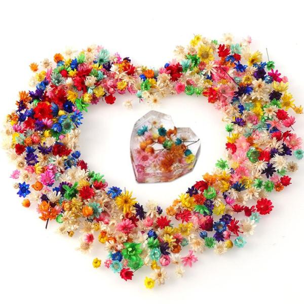 【商品名】　ドライフラワー 300個入り 押し花 ミニ 小さい 花 マルチカラー レジン用 DIY 手作り素材 色が豊富だ デコ素材 手芸クラフト ネイ 【商品説明】　・?yDIY??K?p?z?N????_?????F????S?n???...