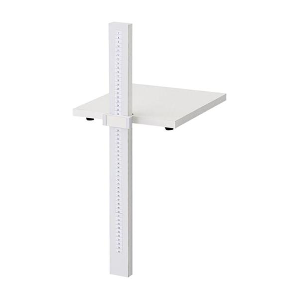 【商品名】　ダンノ(DANNO) 立位体前屈測定器 D3638 サイズ:本体/28×3×62cm、 【商品説明】　・?T?C?Y?F?{??/28?~3?~62cm?A?d??F1.2kg・????F?|?????????A????A?X?...