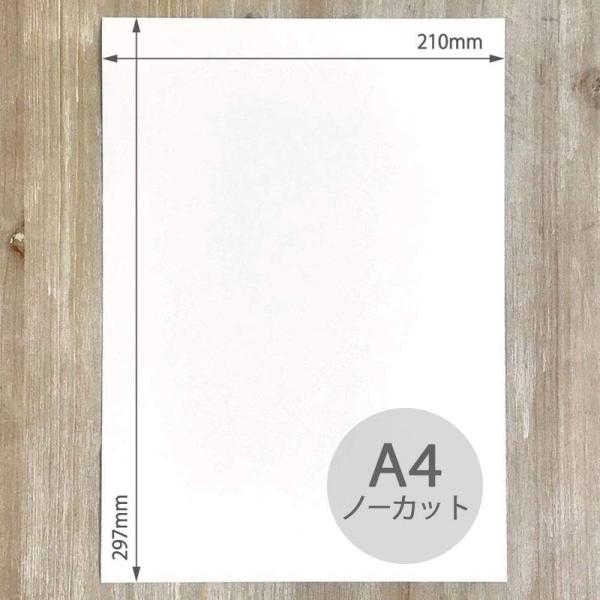 【商品名】　だいし屋 日本製 A4無地ラベルシール W210×H297mm ノーカット マット紙 (ホワイト, 50シート) A065 【商品説明】　・サイズ：W210×H297mm（A4)・仕様：上質紙、A4ノーカット、普通粘着・剥離紙：...