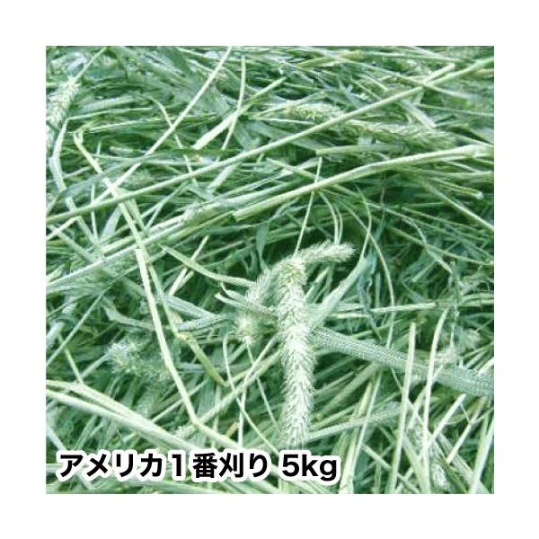 2022年の新刈りが入荷いたしました。 お昼12時までのご注文で当日発送いたします。穂がたくさん入っていて、青く・太く・硬いのが好きな子にはオススメです。   【ネイチャーブリード】で一番売れている牧草です。 うさぎ、モルモット、チンチラ、...