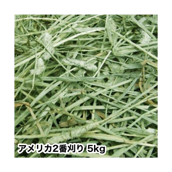 お昼12時までのご注文で当日発送いたします。 アメリカ一番刈りチモシーより細く、葉が多く、やわらかいので、うさぎにはもちろん　モルモットやデグーにも人気のある牧草です。  アメリカ二番刈りがシングルプレスになりました。ぺっちゃんこのダブルプ...