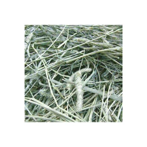 一番スタンダードなチモシーで、一番茎が太く長くしっかりとしています。穂も一番大きいので、穂が好きな子にもお勧めですが、硬い牧草が苦手な方にはお勧めいたしません。青々した色と香りが特徴で、これを食べてくれるなら、ほかの種類は試さなくても大丈夫...