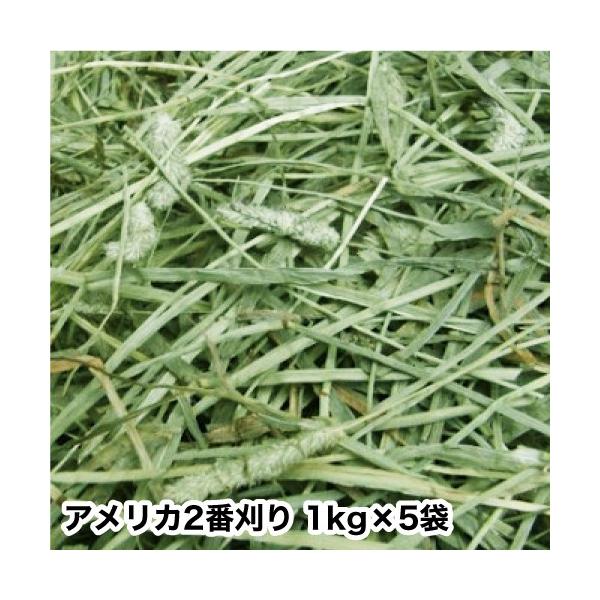 1kg袋が5つで送料無料 北海道・沖縄だけ別途送料差額800円申し受けます。 自動計算では送料無料になりますが、後ほど手動で送料加算させて頂きます。 アメリカ一番刈りチモシーより、細手で葉が多く、やわらかいので,人気のある牧草です。 アメリ...