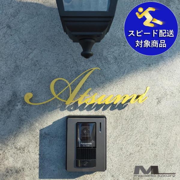 【発売日：2020年05月29日】表札【ラフレシール】・材質：ステンレス(SUS304) 3mm厚・取付方法：ピンタイプ・基本サイズ：type D / type F　幅300mm前後　　　　　　　type D plus / type F p...