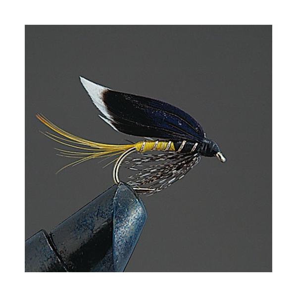 ■サイズ:#10 ■カラー:W2 ジョッグ ■ジャンル:フライフィッシング・フライ用品/完成フライ/完成フライセット ■メーカー: バレーヒル(ValleyHill)  ○関連ワード:釣り具 釣具 つり具 8000番
