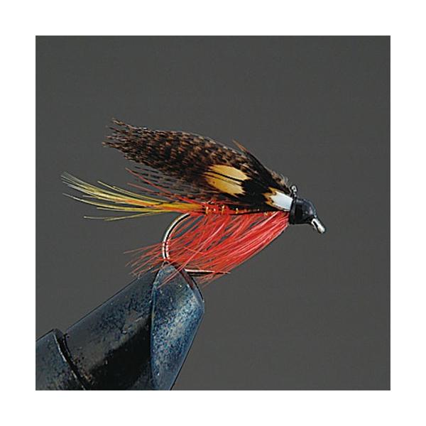 ■サイズ:#10 ■カラー:W8 ダンケルト ■ジャンル:フライフィッシング・フライ用品/完成フライ/完成フライセット ■メーカー: バレーヒル(ValleyHill)  ○関連ワード:釣り具 釣具 つり具 8000番