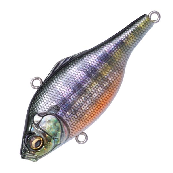 ■サイズ:64.5mm ■カラー:FA ギル ■ジャンル:ルアー/バス釣り用ハードルアー/バイブレーション ■メーカー: メガバス(Megabass) 【特集区分】●メガバス(Megabass)BASS LURE ○関連ワード:釣り具 釣具...