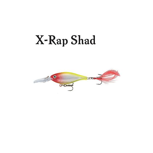 ■サイズ:8cm ■カラー:OG(オリーブグリーン) ■ジャンル:ルアー/シーバス用ルアー/ミノー(リップ付き) ■メーカー: Rapala(ラパラ) 【商品カテゴリ】■魚種:●シーバス(t1)■ルアーの種類:●ミノー・プラグ(t74) ○...