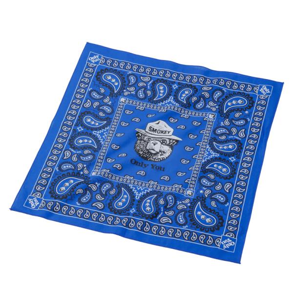 ■カラー:ロイヤル ■ジャンル:ファッション雑貨/その他雑貨・小物/バンダナ ■メーカー: The Printed Image(ザ プリンテッド イメージ) 【特集区分】●【25AW】秋冬特選新製品●父の日おすすめアイテム