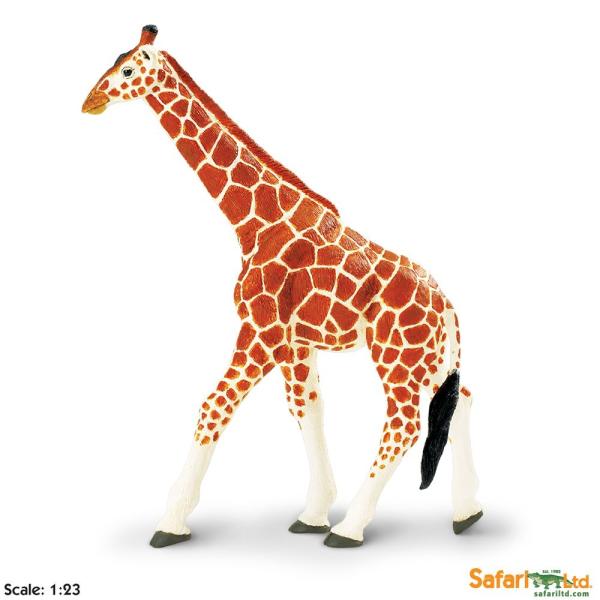 Reticulated Giraffe正規輸入品サイズ：18 cm x 3.5 cm x 24 cm素　材：PVC（フタル酸不使用）製造元：Safari社 (アメリカ)生産国：中国※Safari社のフィギュアはひとつひとつハンドペイントで製...