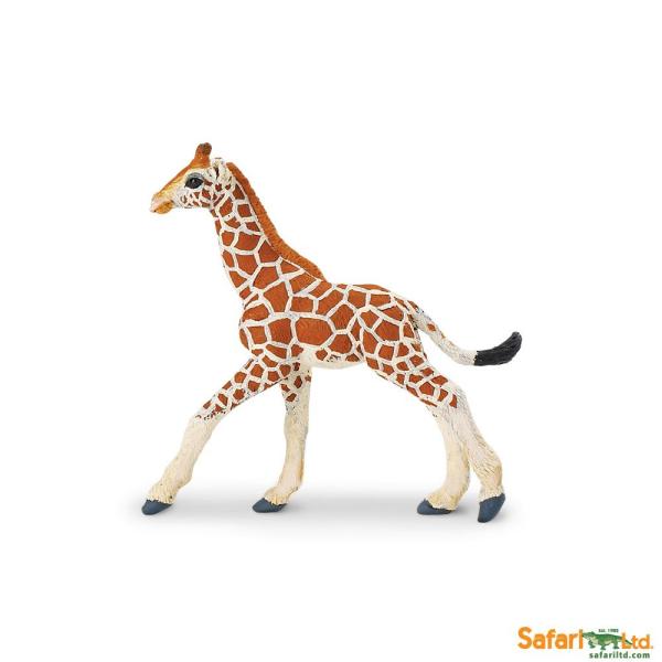 Reticulated Giraffe Babyサイズ：9.3×2.3×9cm素　材：PVC（フタル酸不使用）、BPAフリー製造元：Safari社 (アメリカ)生産国：中国製【正規輸入品】※Safari社のフィギュアはひとつひとつハンドペイ...