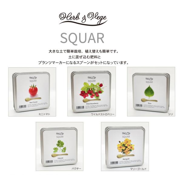 大きな土で簡単栽培、植替えも簡単です！場所を取らず簡単に育てられる栽培キットです。キッチンなどで育ててお料理に使ったりできます！土は圧縮乾燥されてますので水分で膨らませて種を蒔くだけです。缶の中で最後まで栽培を楽しめます。土に混ぜ込む肥料と...