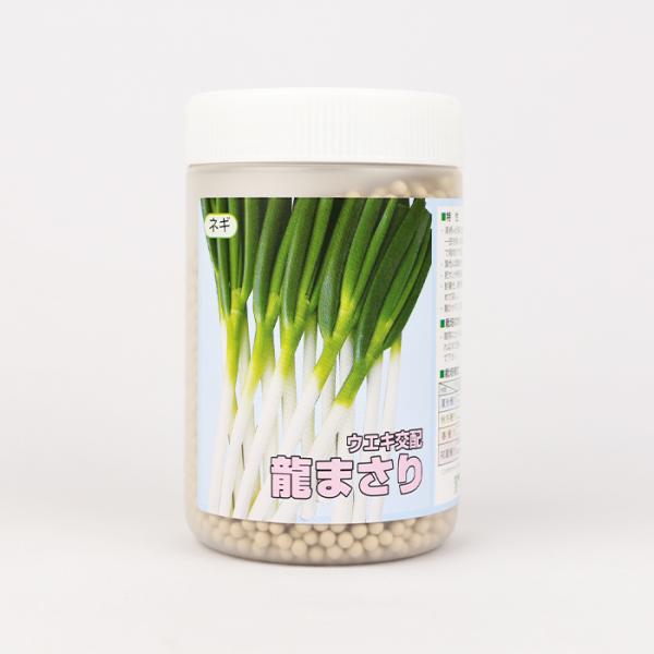 商品名：龍まさり根が強い。晩抽性が高く丈が短い。(菌核に弱め)特性1. 黒柄×合黒の交配種で晩抽性を持ち、４月下旬〜５月上旬などの一部を除いた幅広い作型（夏どり、夏秋どり、秋冬どり、春どり）で栽培ができる。2. 葉色が濃緑色であり、草姿は立...