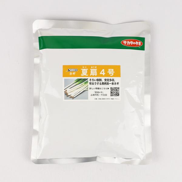 商品名：夏扇4号年内収穫向きの冬取り定番品種。パワー＞4号＞3号の順で太りが良い。特性1. 太りがよく、密植が可能で、低温伸長性のある黒柄系一本ネギ。2. 夏秋および秋冬どりに適し、土質を選ばず、適応作型が広く、作柄が安定する多収品種。3....