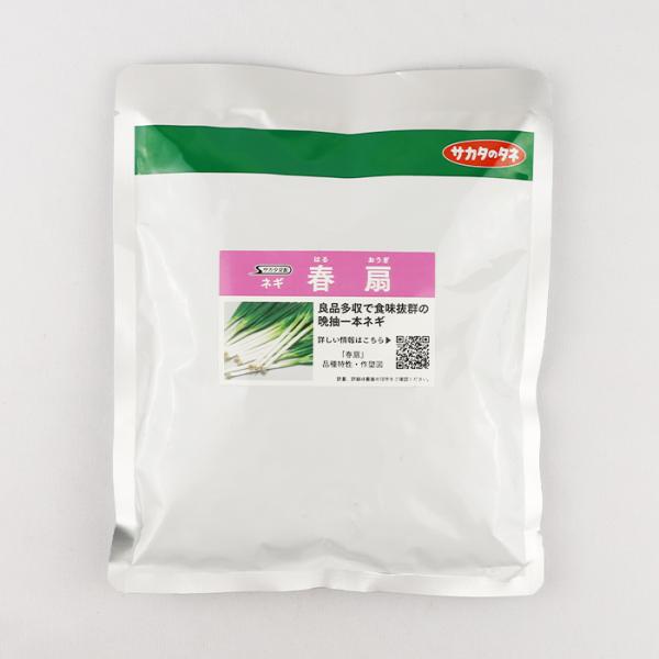 商品名：春扇晩抽系の早太りタイプ。良品多収で食味抜群の晩抽一本ネギ特性1. 合黒系晩抽一本ネギ。分けつの発生はほとんどない。2. 立葉で葉折れが少なく、機械管理作業が容易である。3. 早生で太りが早く、特にトンネルの5月収穫では、秀品率が高...