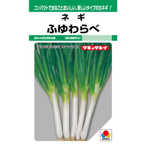 商品名：ふゆわらべ 軟白が短くても収穫できるミニサイズネギ。農林水産省登録品種　※海外持出禁止（公示（農水省HP）参照）コンパクトで緑葉までおいしい、新しいタイプの白ネギ！特長1. 根深ネギと「下仁田」「九条」の特性を併せもつ新しいタイプの...