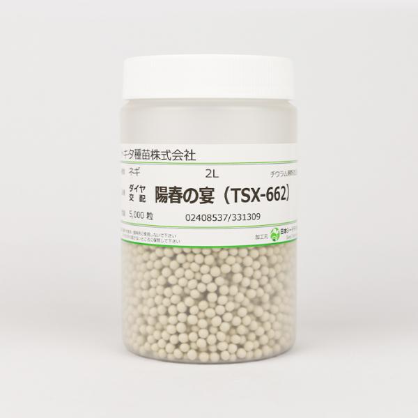 商品名：陽春の宴（TSX-662）晩抽性が極めて高い。太りはそこそこ。首締まり〇特性黒柄系晩抽系F1一本ネギ。4月収穫の春ねぎ作、トンネルを用いた5月6月収穫の初夏ねぎ作のどちらにも好適。特に6月の初夏ねぎに見られる首部の緩みが無く、市場性...