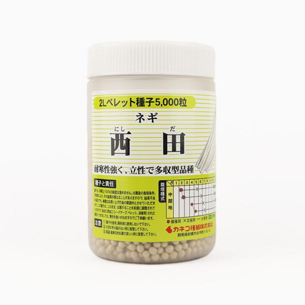 商品名：西田深谷市で生まれた、柔らかくておいしい秋冬ネギ。2−3本に分けつする。耐寒性強く、立性で多収型品種!!特性1. 耐寒性と低温伸長性の高い冬どり用ネギで、２〜３本に分けつします。2. 分けつは育苗後期から見られ、１本ずつ完全に独立し...
